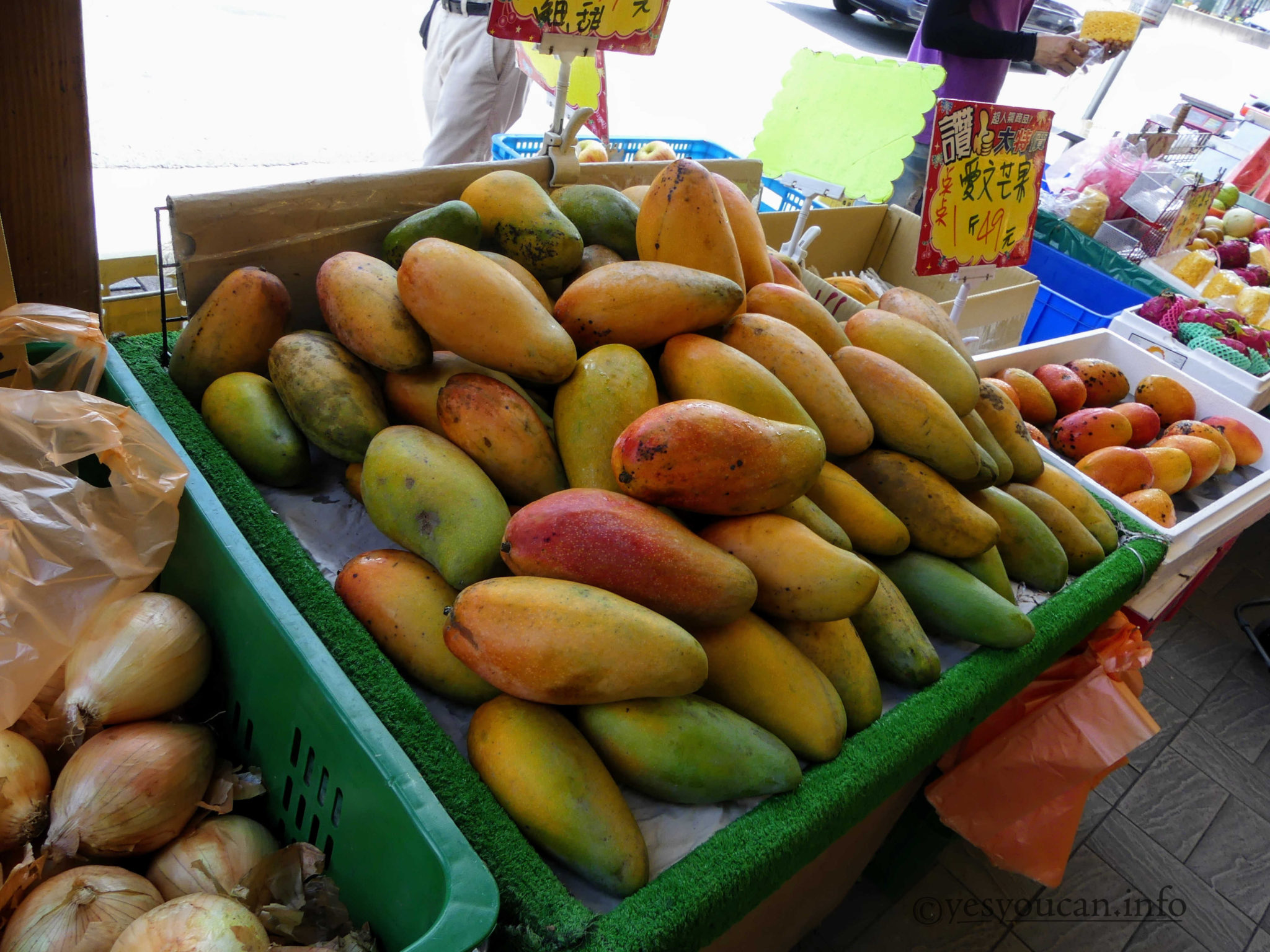 Life in Taiwan & Costa Rica - similarities & differences - Life in Taiwan